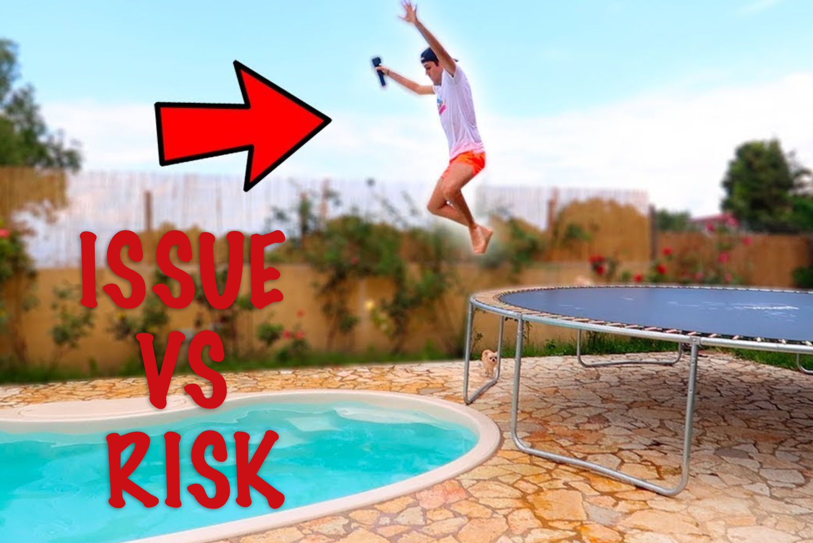 Issue vs Risk – Pil 019 – Innovation & Project Management Pills